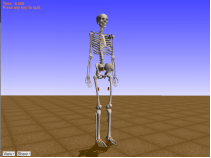 OpenSense -运动学与IMU数据-CSDN博客