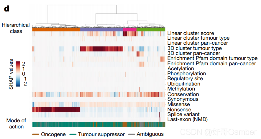 In silico saturation mutagenesis of cancer genes 解读_in silico mutations ...