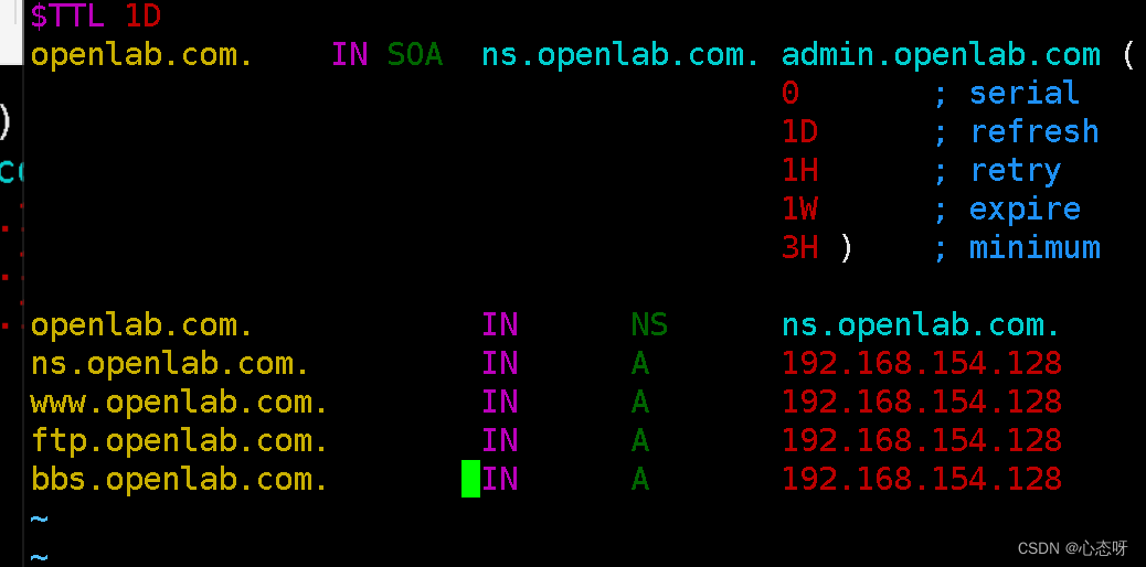 DNS服务解析_bind-license 升级-CSDN博客