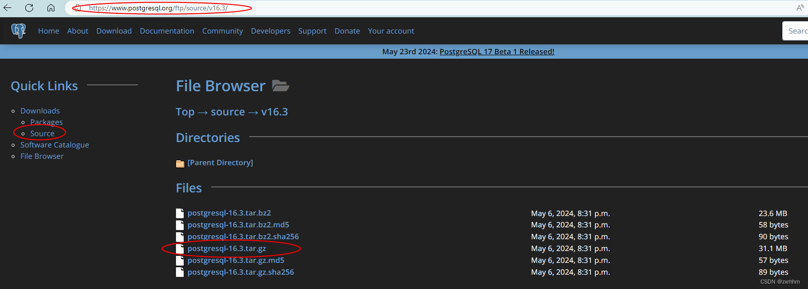 openEuler23.09安装Postgresql16.3_openeuler postgresql-CSDN博客