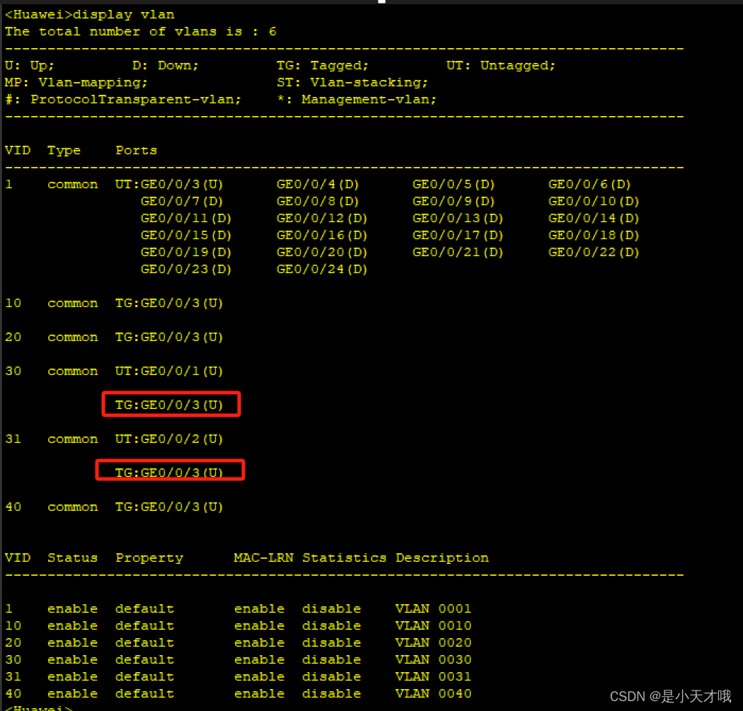 VLAN-trunk练习_vlan trunk 题目-CSDN博客