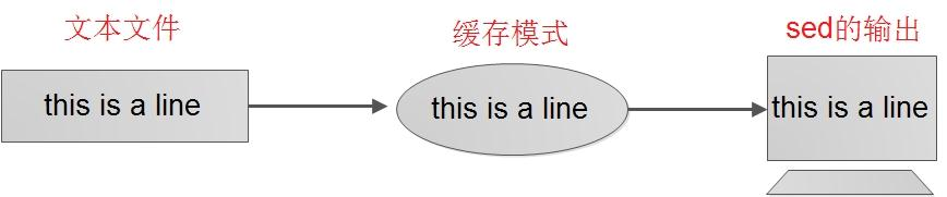 Sed 编辑器详解及使用实例-CSDN博客
