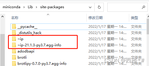 WARNING: Ignoring invalid distribution -ip (d:\program files\miniconda ...