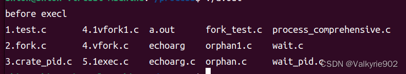 LINUX进程——执行文件——exec族函数_linux exec-CSDN博客