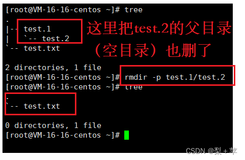 Linux-基本指令02-CSDN博客