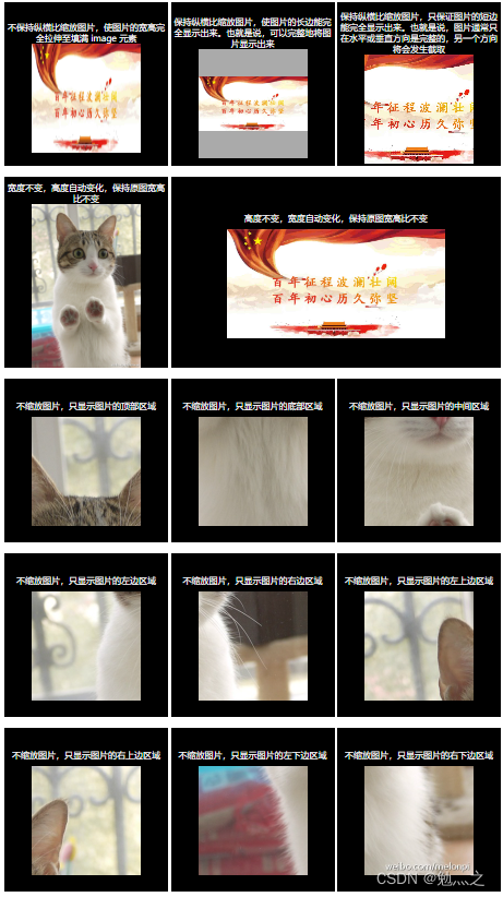 像uniapp image标签一样对图片进行缩放和裁剪_uniapp图片缩放-CSDN博客