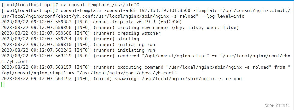 docker之Consul环境的部署_docker 安装consul-CSDN博客