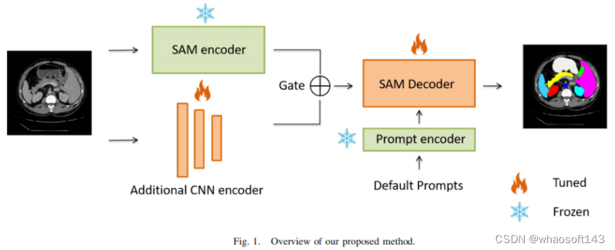 SAM-LST-CSDN博客
