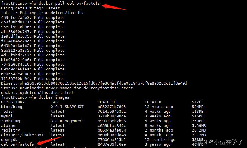 Docker快速搭建FastDFS文件系统_docker exec -it storage-CSDN博客