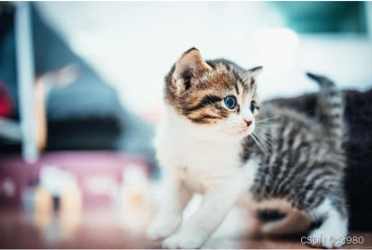 基于python的opencv图像基本操作2（简单阈值处理和三种滤波方式对图像噪声的处理）python Opencv多次滤波和阈值 Csdn博客