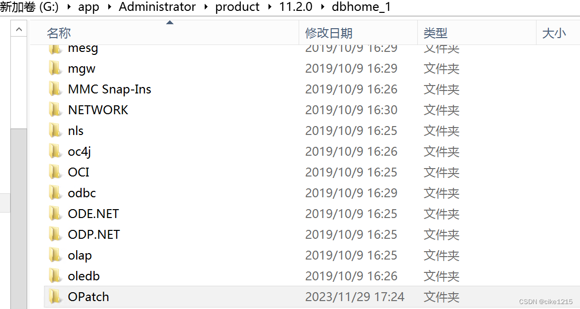 windows上oracle11g安装补丁（patches）_如何下载oracle11补丁包-CSDN博客
