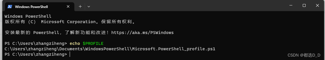 为Windows powershell 命令设置别名（alias）_powershell 设置alias-CSDN博客