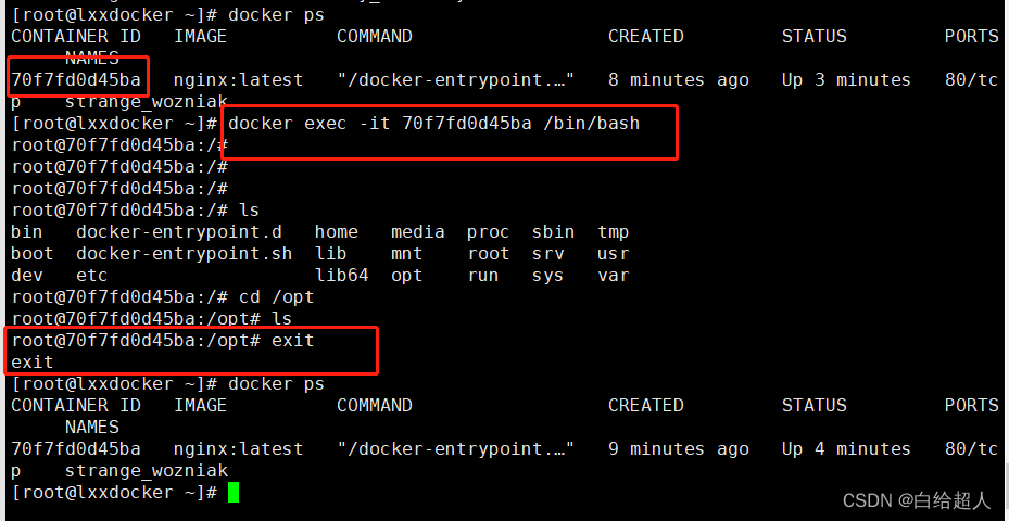 【docker】docker的基础命令_ydqit-CSDN博客