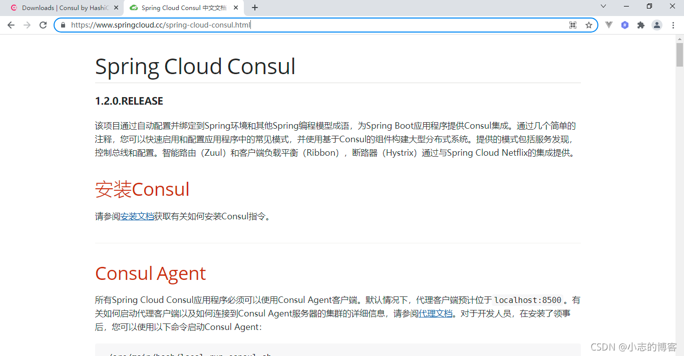 window10环境下载、安装并访问consul具体步骤（图解版）_windows10安装springcloudconsul-CSDN博客
