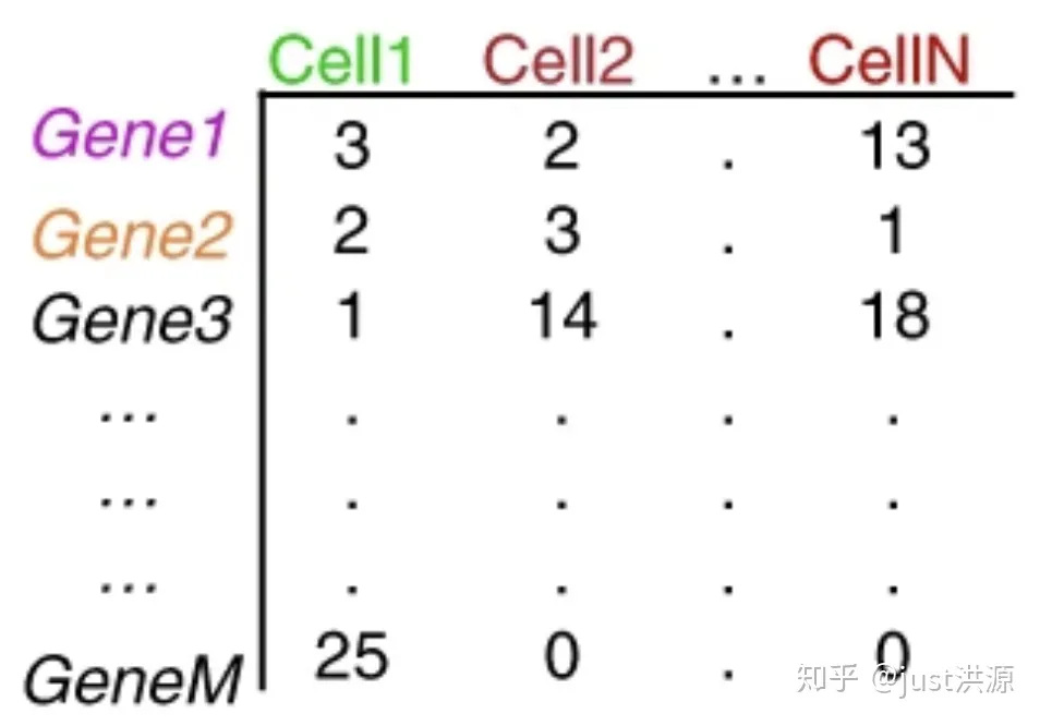 单细胞seurat入门—— 从原始数据到表达矩阵-CSDN博客