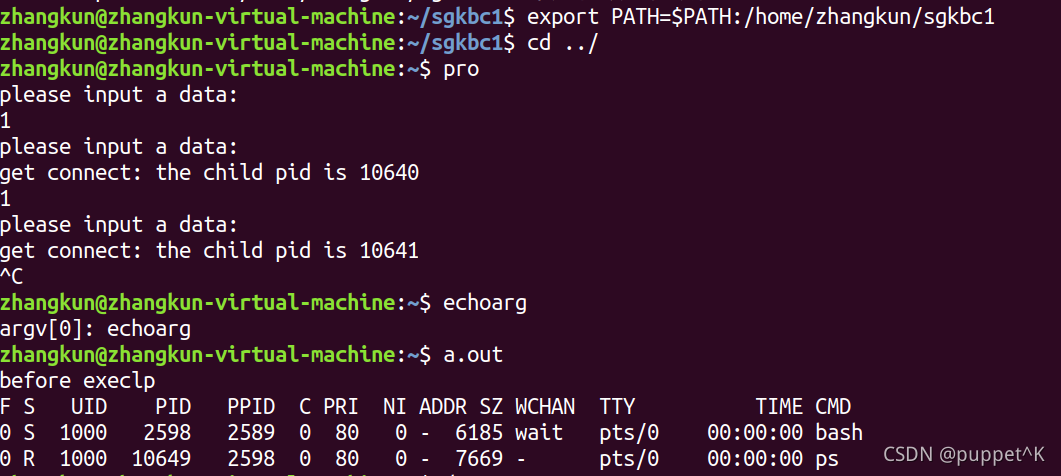 linux进程---exec族函数(execl, execlp, execle, execv, execvp, execvpe)_execlp函数-CSDN博客
