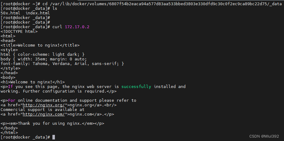 Docker数据卷管理与bindmount详解-CSDN博客