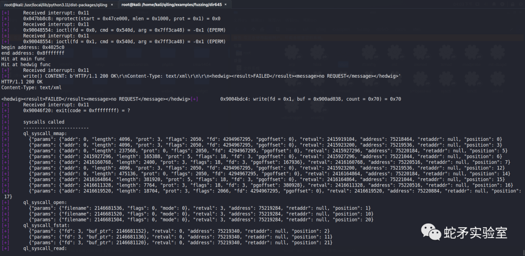 网络靶场实战-Qiling Fuzz实例分析-CSDN博客