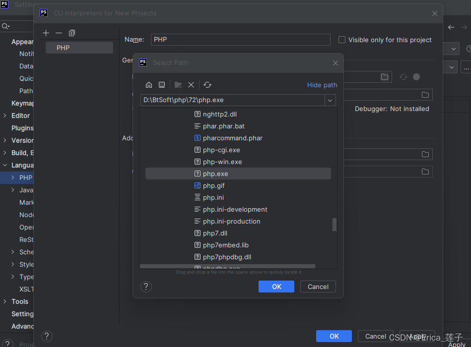 php开发环境搭建_宝塔、composer_宝塔 composer-CSDN博客