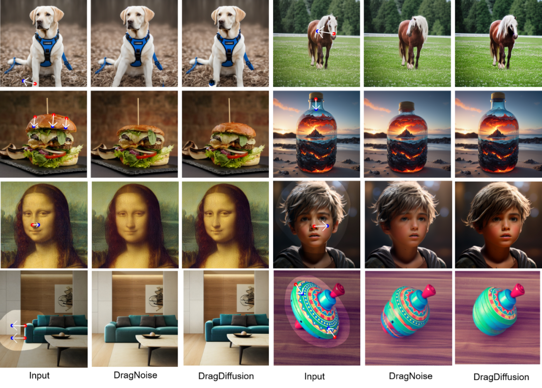 CVPR 2024 | 拖拽P图又双叒升级了！DragNoise实现更快更准的拖拽编辑-CSDN博客