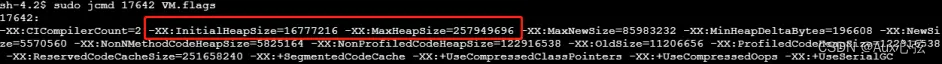 检查JDK默认及运行时Xmx和Xms设置-CSDN博客