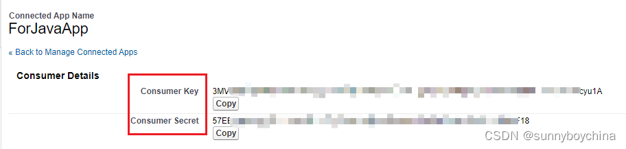 用Springboot(java程序)访问Salesforce RestAPI_salesforce java开发例子-CSDN博客