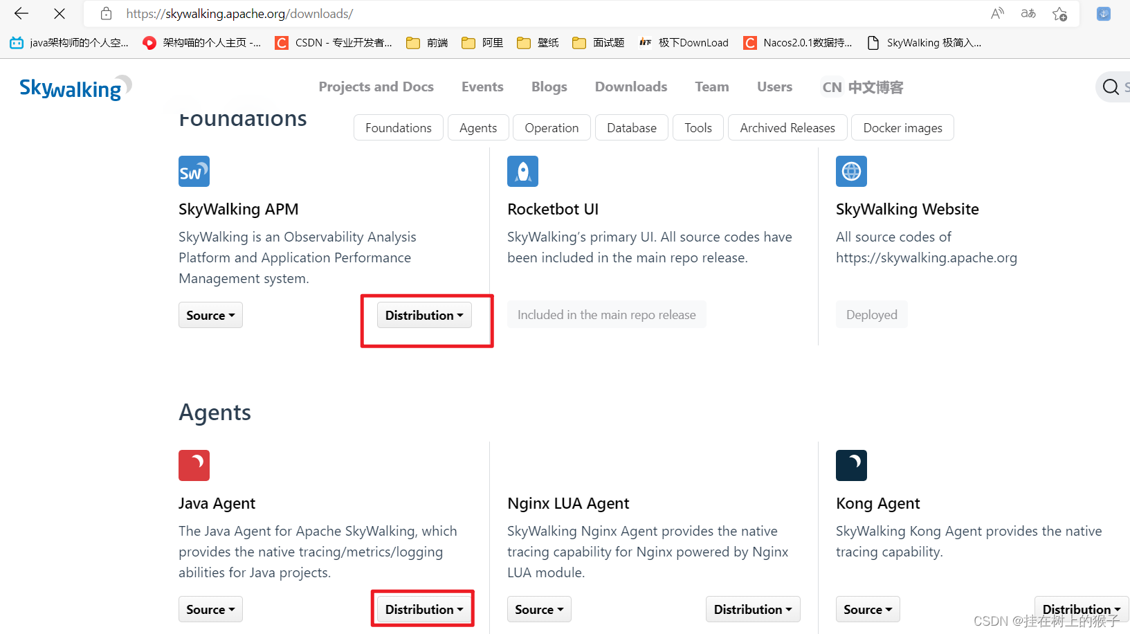 SpringCloud微服务-----skywalking链路追踪_springcloud使用skywalking链路追踪-CSDN博客