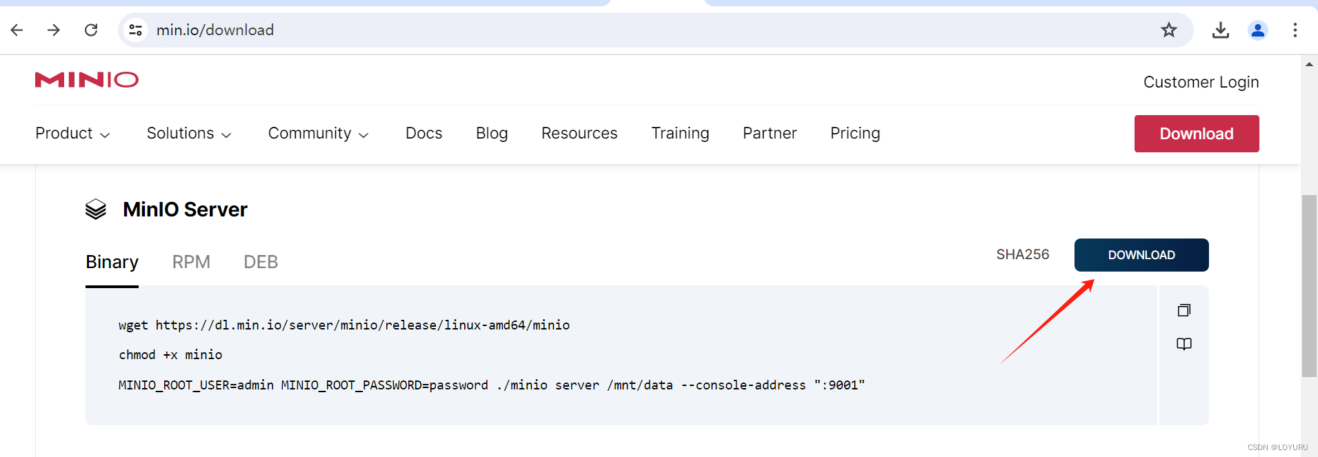 麒麟V10安装MinIO-CSDN博客