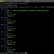 php already loaded,php.ini 位置和重安 Xdebug 还有消除 Cannot load Xdebug - it was already loaded 信息的方法 ...