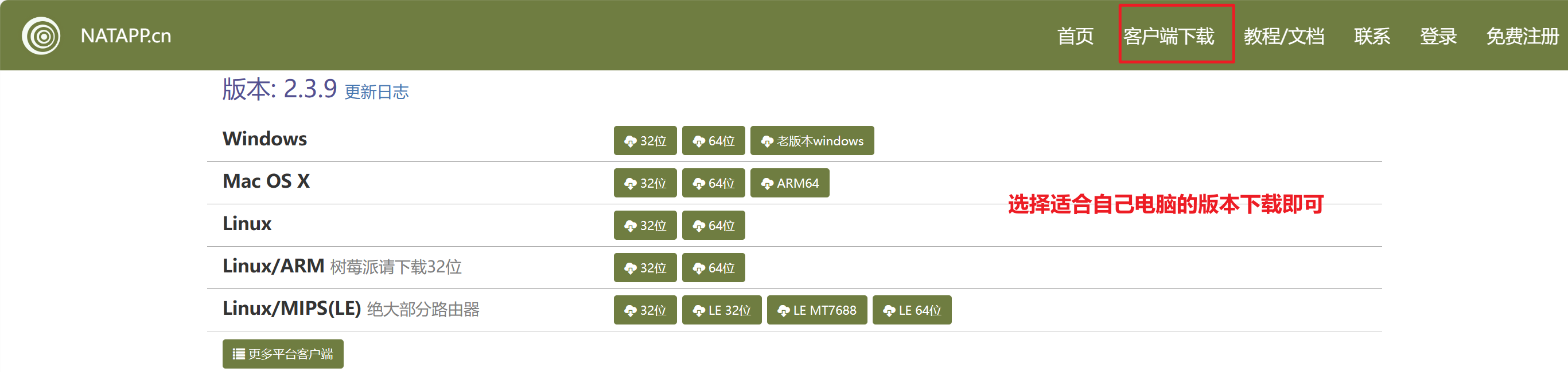 【无公网IP内网穿透】基于NATAPP搭建Web站点_natapp配置-CSDN博客