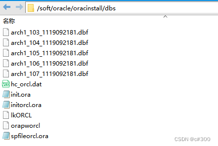 ORA-16032: parameter LOG_ARCHIVE_DEST_1 destination string cannot be translated 问题-CSDN博客