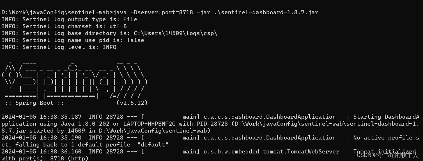 sentinel启动报错Unable to access jarfile .port=8718_sentinel_小书馆的牧羊人-GitCode 开源社区