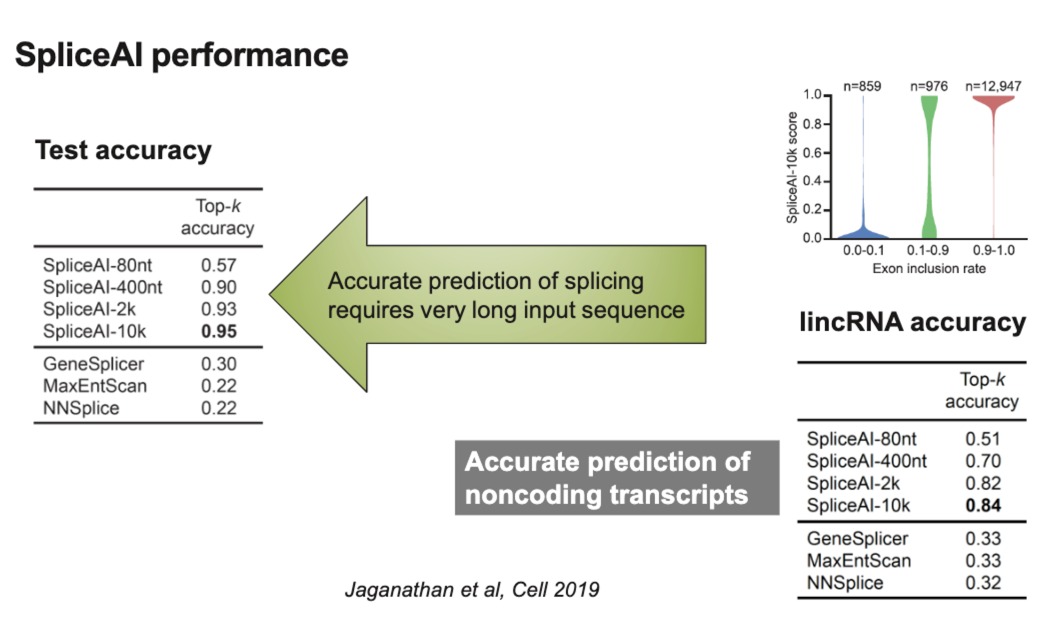 【Gene Expression Prediction】Part4 Predicting splicing from primary sequence_splice acceptor-CSDN博客