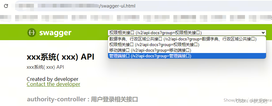 springboot swagger 接口文档分组展示_swagger controller分组-CSDN博客