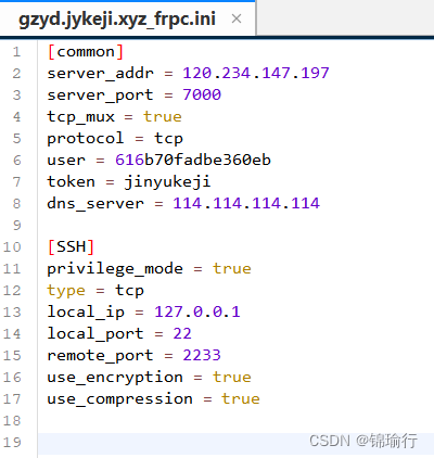 sakura frp 校园网 login server failed eof（附带完整使用办法）_锦瑜frp-CSDN博客