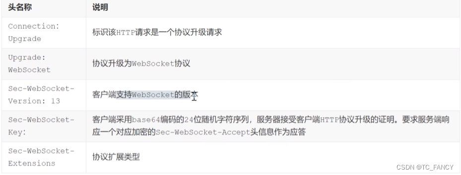 WebSocket_tcp和ws消息的几种类型 push request 等-CSDN博客