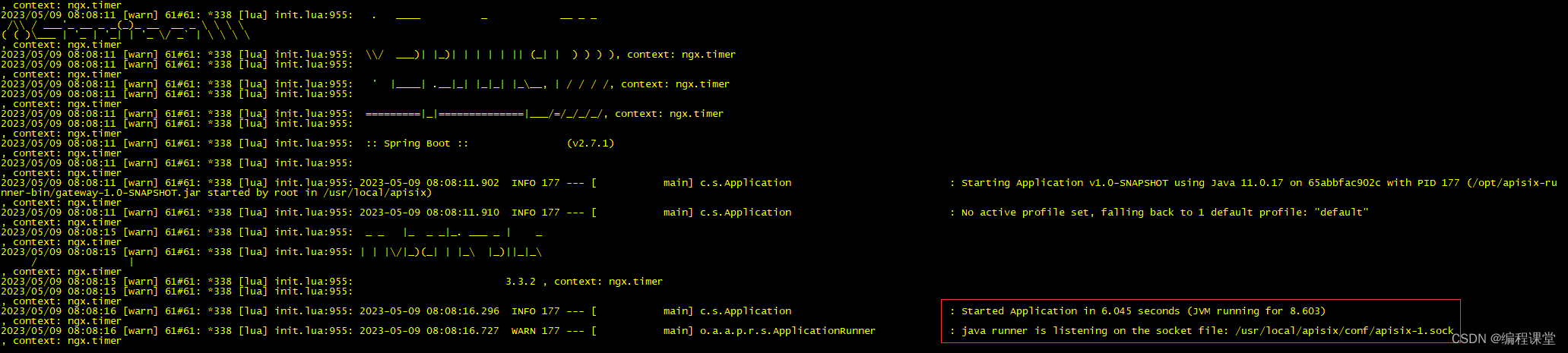 基于docker的apisix网关的java插件开发_java开发apisix插件-CSDN博客