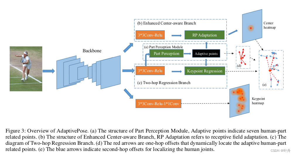 AdaptivePose: 人体姿态估计新思路，将人体部位表示为自适应点-CSDN博客