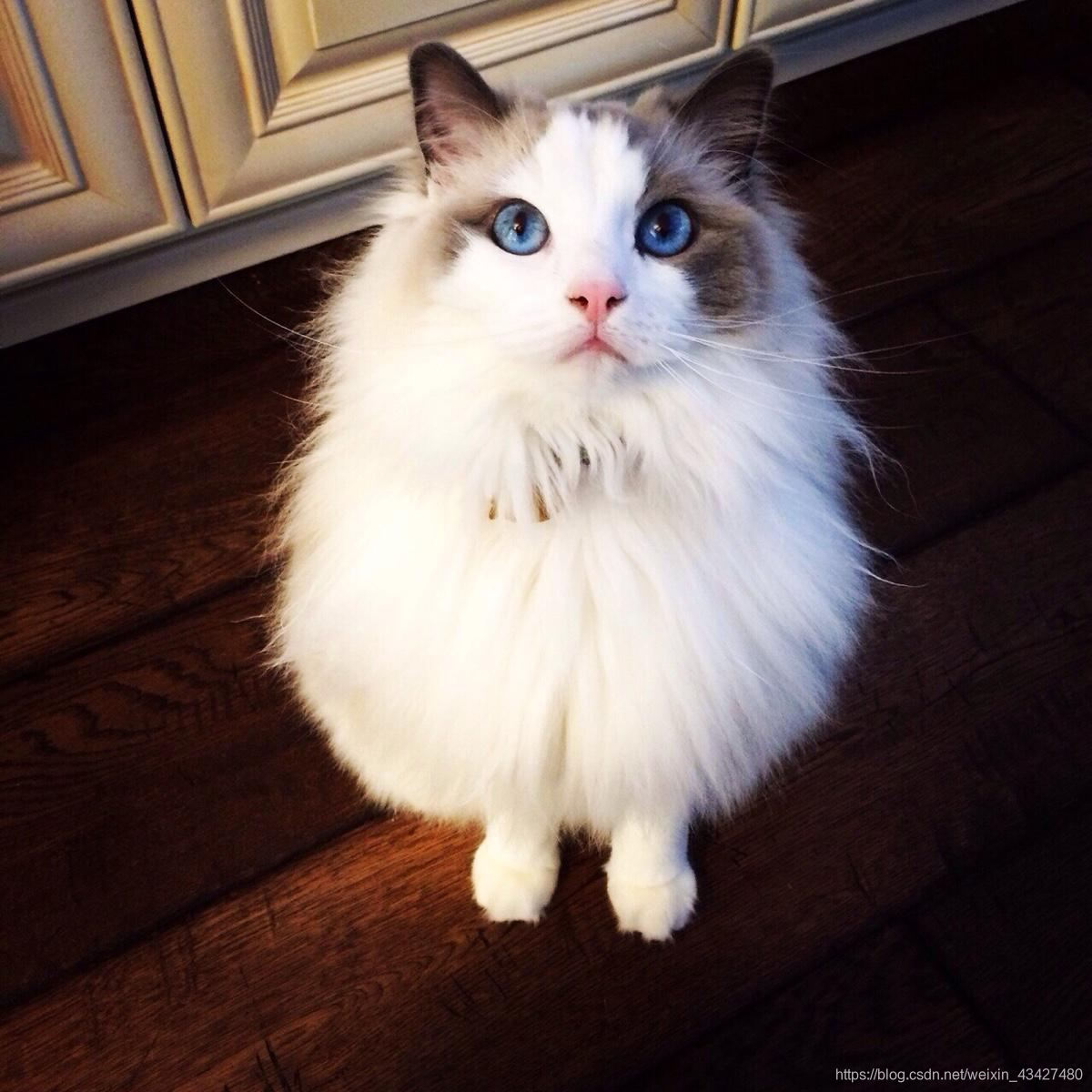 图像处理与小波变换 Python实现dwt提取高频信息python Csdn博客