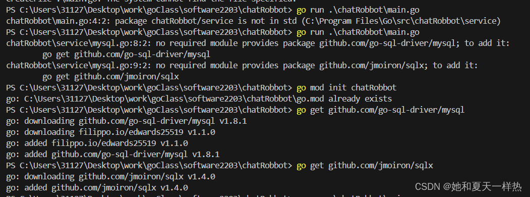 【VS Code报错】chatRobbot\main.go:4:2: package chatRobbot/service is not in std (C:\Program Files\Go ...