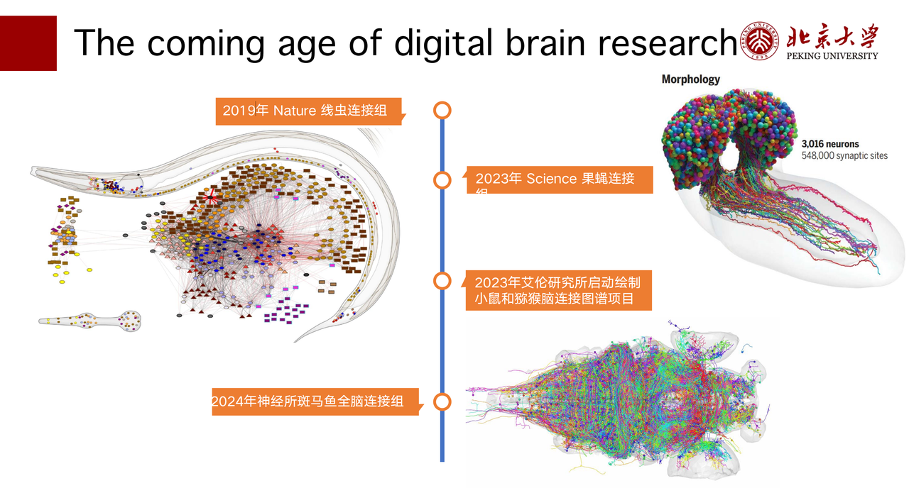 共话 AI for Science | 北京大学王超名：BrainPy，迈向数字化大脑的计算基础设施-CSDN博客