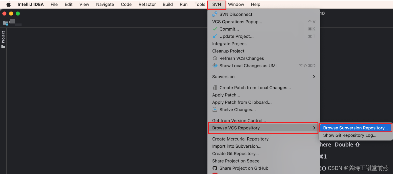 IDEA中集成使用SVN【超详细图解Mac版】_mac idea svn-CSDN博客
