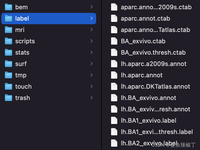 同时显示头皮和皮层（MNE-Pyhthon and Freesufer）_bids freesurfer-CSDN博客