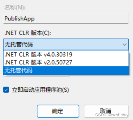 ASP.NET Core：部署到 IIS_netcore发布到iis-CSDN博客