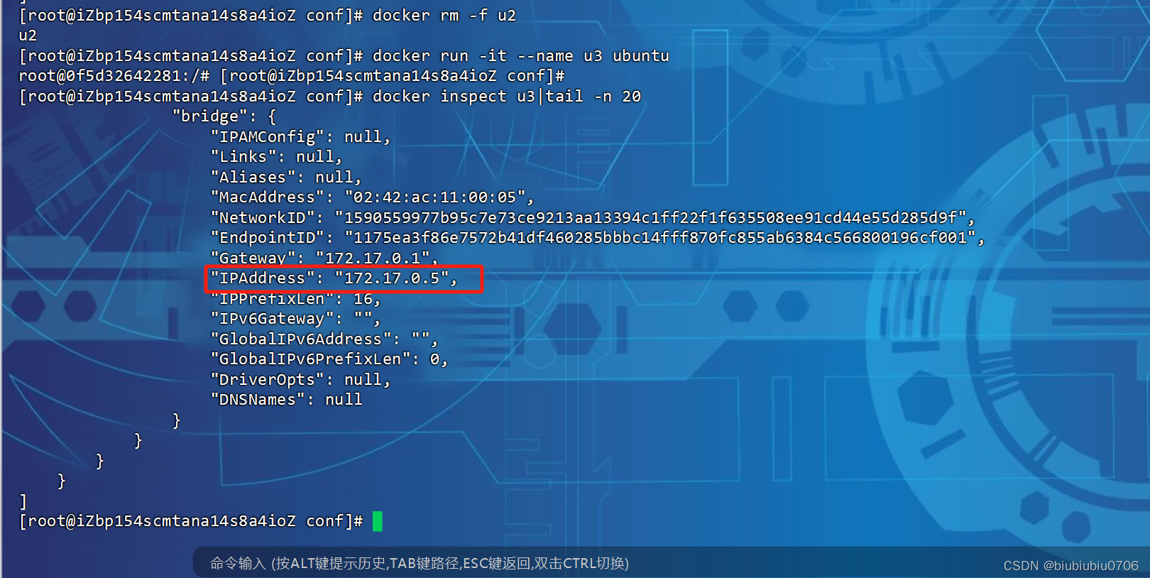 Docker network_docker run -d --network-CSDN博客