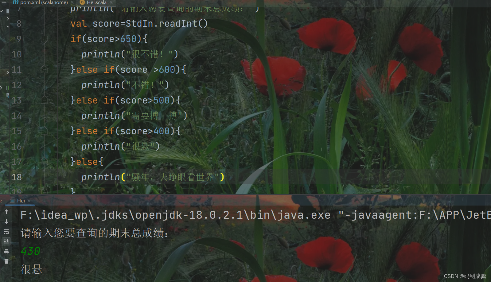 Scala004--if分支语句_scala if-CSDN博客