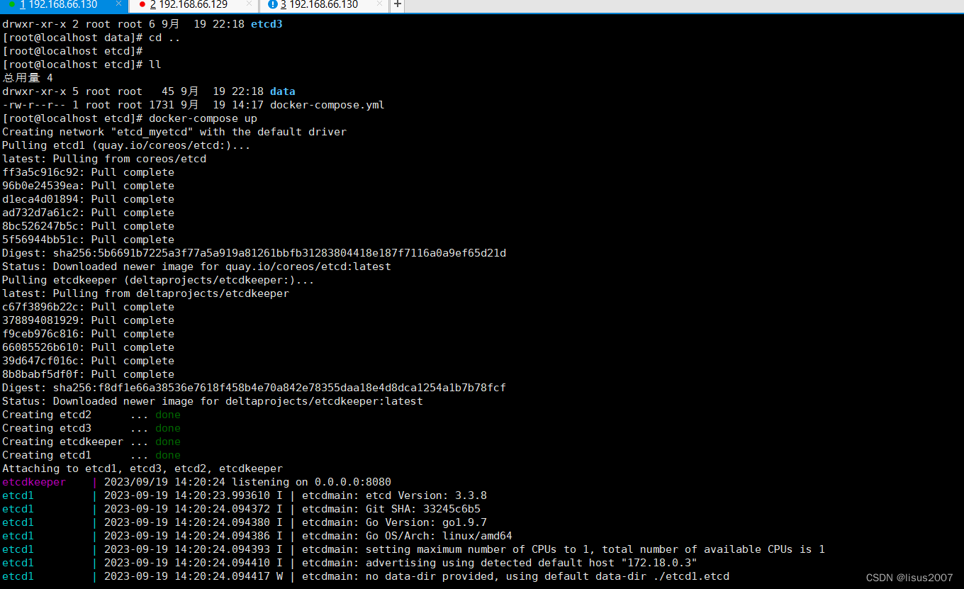 Docker部署多节点etcd集群及端口检查-CSDN博客